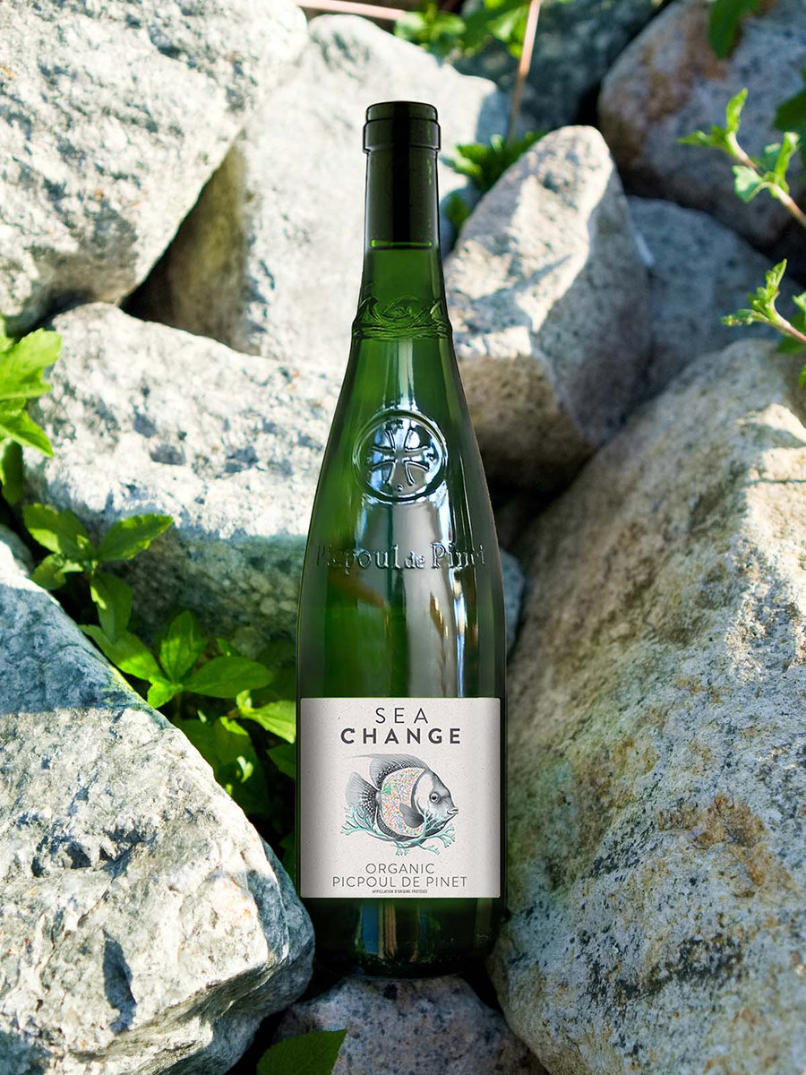 Organic Picpoul de Pinet – Sea Change