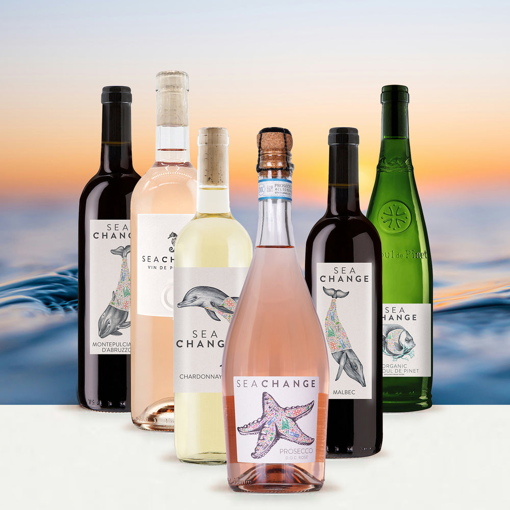 Simply Sea Change Case